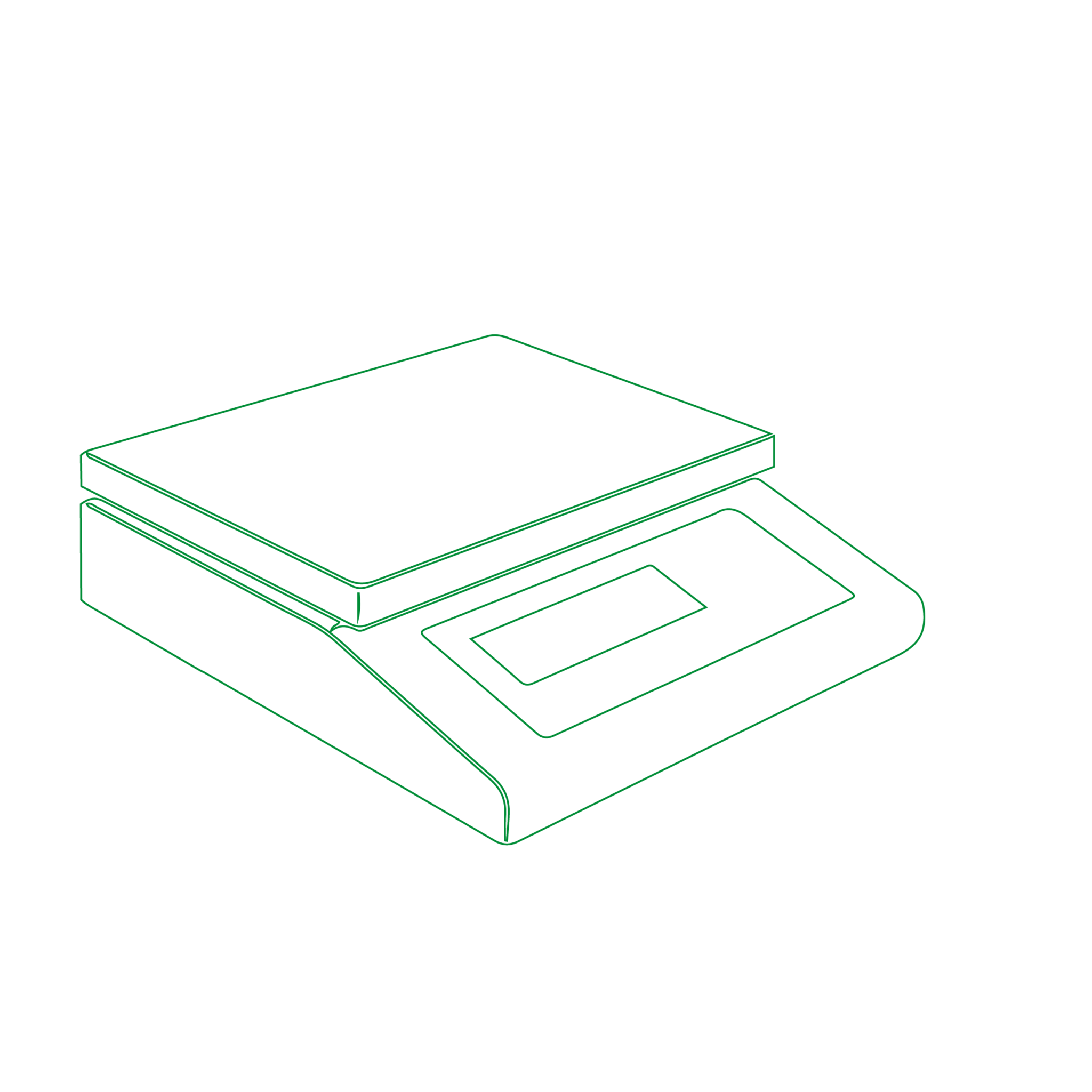 Balances et bascules électroniques CAS Tunisie - Sonelect Scopia